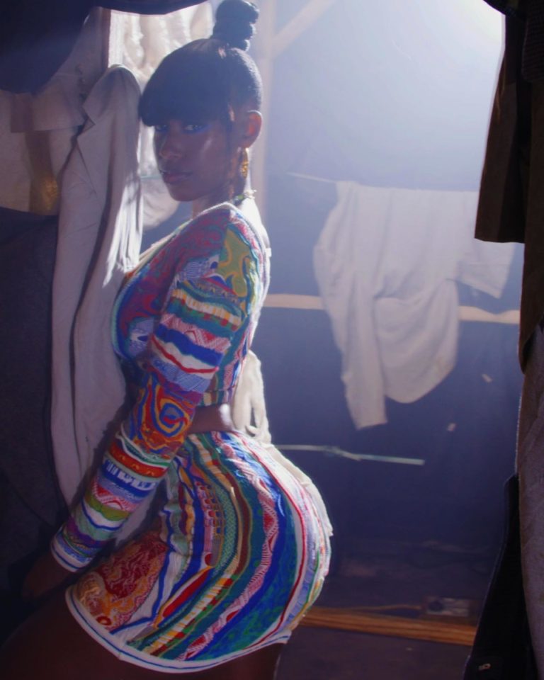 The beautiful video vixen on Asake's 'Terminator' video
